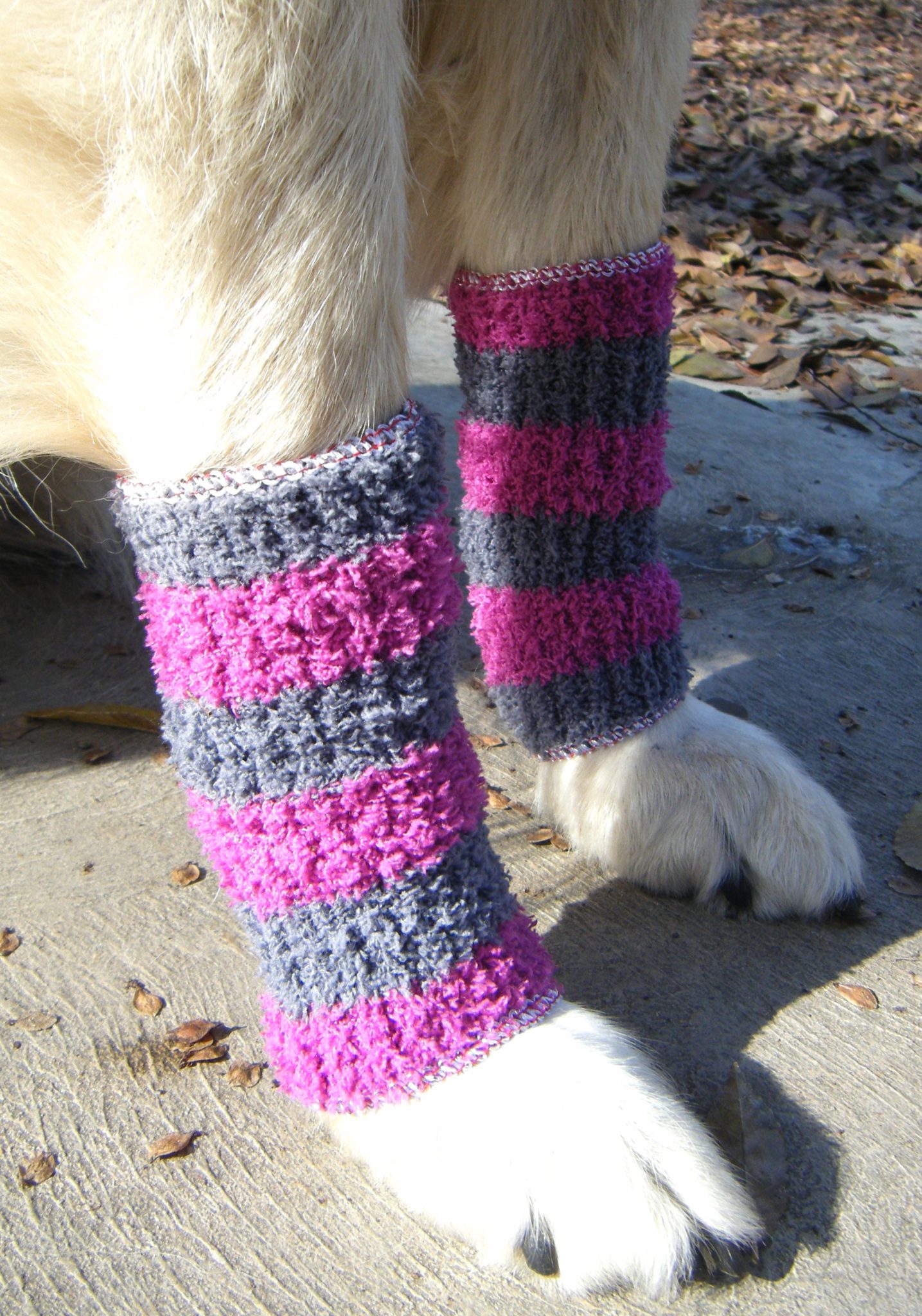 Make Doggy Leg Warmers Dollar Store Crafts Make Doggy Leg Warmers Dollar Store Crafts